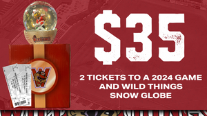 The Official Team Store of the Washington Wild Things – Washington Wild ...