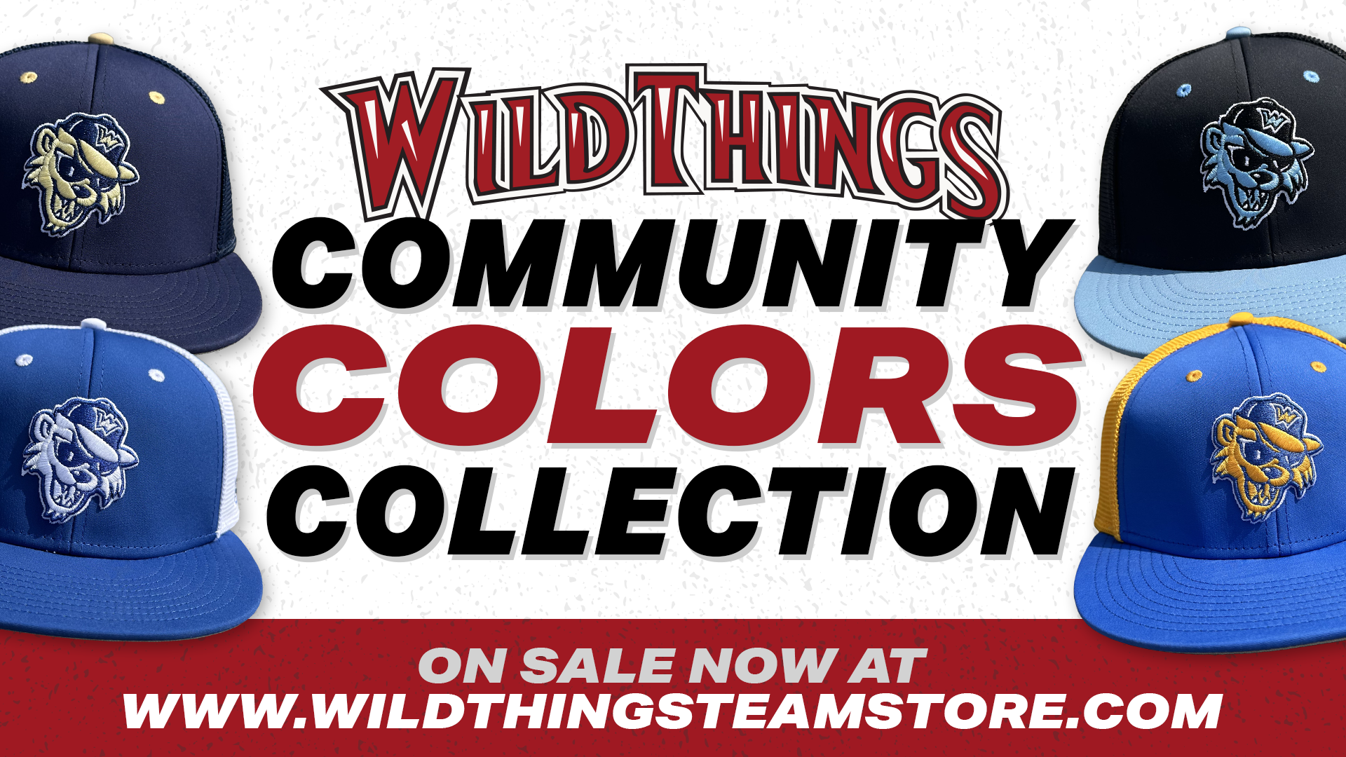 The Official Team Store of the Washington Wild Things – Washington Wild ...